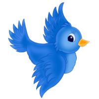 Blue Bird Mobile Homes, Inc. – Your Complete Mobile Home Center